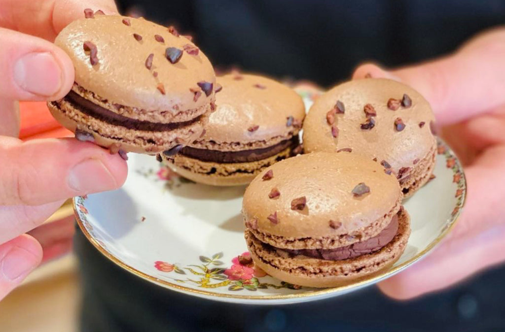Le retour d’un cacao pas comme les autres : Elmer – Chocolat Encuentro